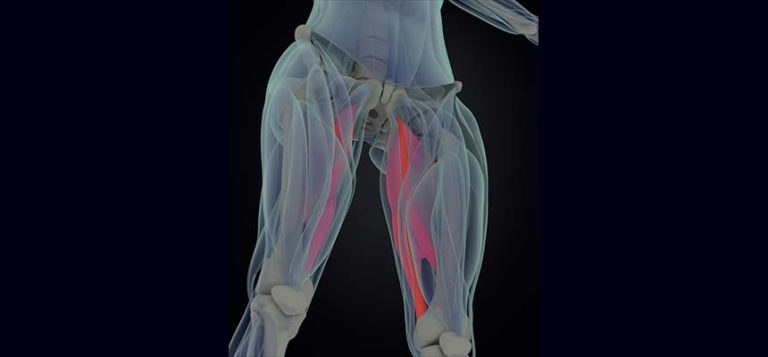 Pubalgia del deportista u osteopatía de pubis - Fisioterapia Talavera ...